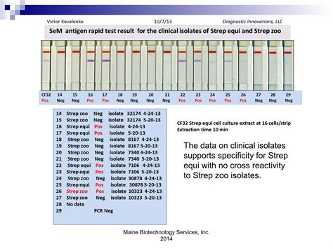 Streptococcus Equi Field Trial Data Ppt