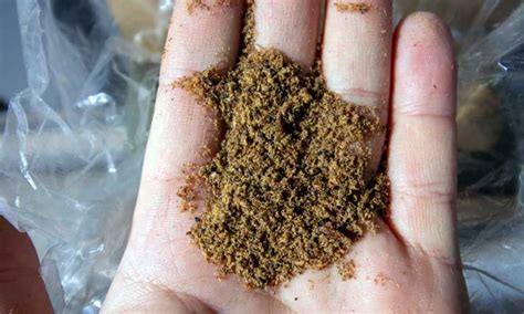 Feather Meal A High Nitrogen Organic Fertilizer Epic Gardening