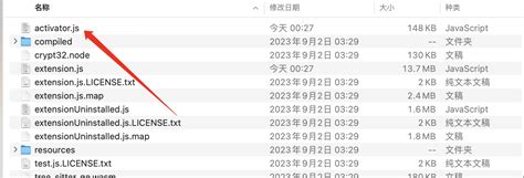 Copilot远程授权激活 独角兽🦄copilot