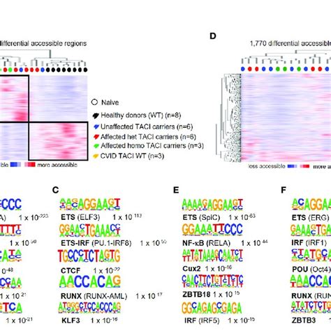 Dysregulated Chromatin Landscape In Stimulated Naïve B Cells From Taci