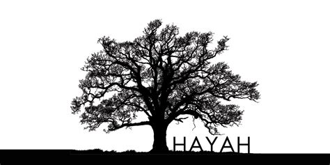 Hayah Consulting Llc