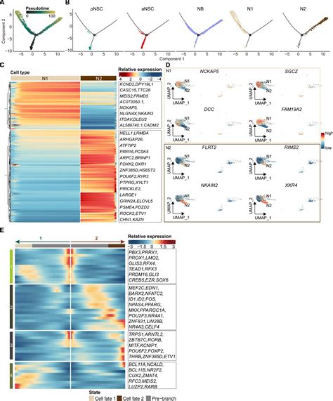 Figures And Data In Deciphering Molecular Heterogeneity And Dynamics Of Human Hippocampal Neural