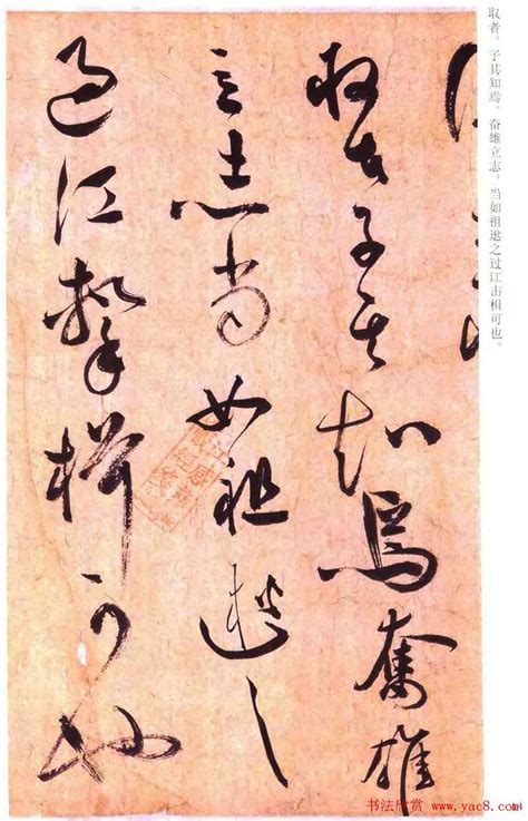 祝允明草书书法赏析云江记 第12页 明清书家书法欣赏