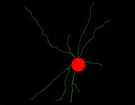 Detailed Cell Information Rat5 2 2r Neuron 1 Stellate Mepv