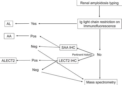 2024 Update On Classification Etiology And Typing Of Renal