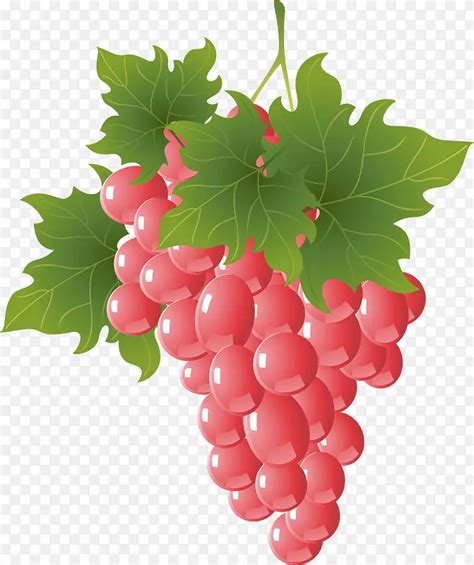Png Png