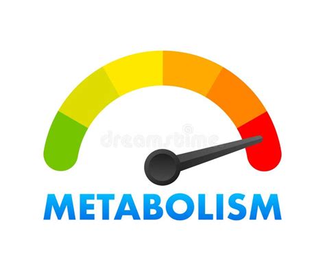 Metabolism Meter Stock Illustrations 497 Metabolism Meter Stock Illustrations Vectors