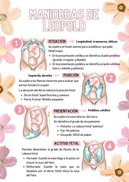 Maniobras De Leopold Cielo Udocz