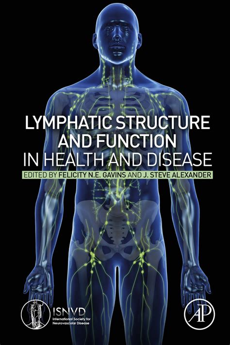 Lymphatic Structure And Function In Health And Disease Premiumjs Store