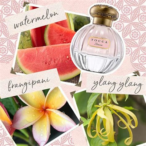 Tocca Simone Eau De Parfum 50ml Spray The Fragrance Shop