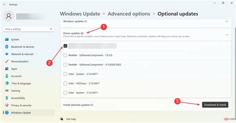 适用于 Windows 2303 的 Pl11 驱动程序：如何下载和安装 莱卡云