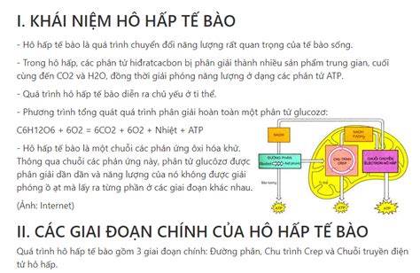 Chu Tr Nh Crep C C Giai O N Ch Nh C A H H P T B O Gi O Vi N Vi T Nam