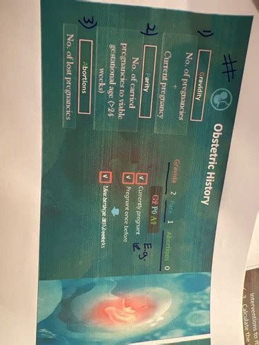 Pregnancy After Mid Flashcards Quizlet