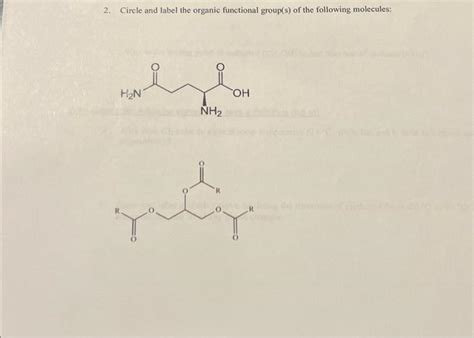 Solved Circle And Label The Organic Functional Group S Chegg