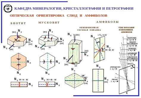 Слюды презентация доклад проект скачать
