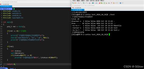 Linux相关概念和易错知识点（15）（exec系列函数）execle函数linux Csdn博客