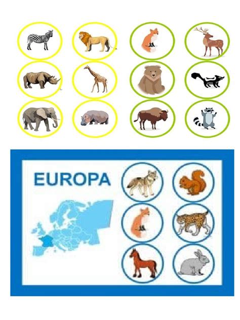 Animais Do Mundo A Cores Pdf