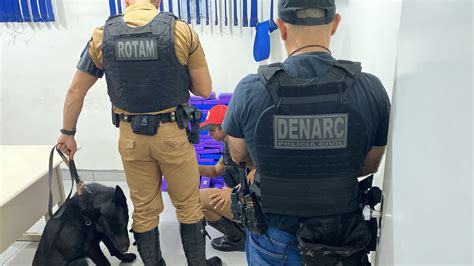 ajuda de cão farejador Polícia encontra mais de 60 quilos de