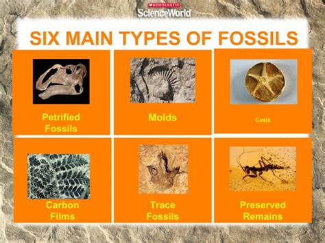 Fossils Ppt