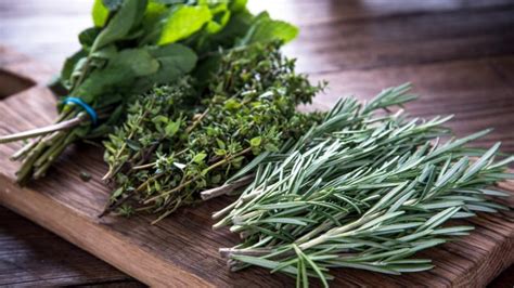 Herbs 101 How To Cut Store And Cook With Fresh Herbs