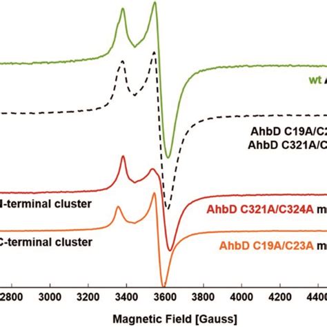 Epr Spectra Of The [4fe 4s]¹⁺ Clusters In Ahbd The Spectra Were Download Scientific Diagram