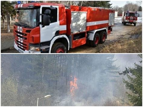 СИГНАЛ ДО ПИК Голям пожар край Троян запали се борова гора вятърът