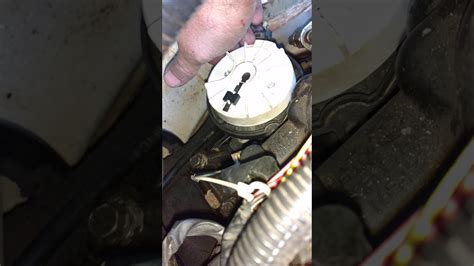 How To Set Timing On 4 3 Vortec Car News Box