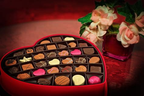 300 000 Free Valentine Flower Valentine S Day Photos Pixabay