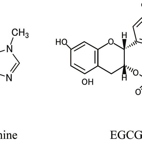 Chemical Structure Of Tb And Egcg Download Scientific Diagram