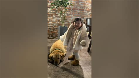 할아버지강아지랑 👶🏻 ️ 귀요미 16개월아기 Youtube