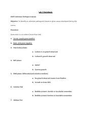 Identifying Unknown Pathogens Lab Notebook Analysis Gram Course Hero