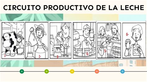 Circuito Productivo De La Leche