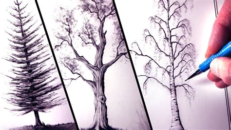 Cool Tree Sketches At Explore Collection Of Cool