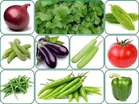 Aero Seeds 10 Variety Of Vegetable Seeds Combo Pack With Instruction