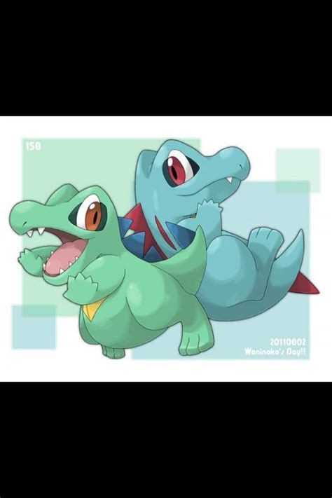 Totodile Wiki Pokémon Amino