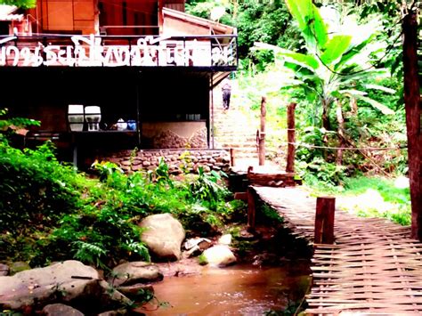 ฝนนี้วิวสดใส เขียวขจี มณีวัชชืพ เบ่งบานถั่วหน้า บ้านระเบียงน้ำแม่แมะ ตำบลแม่นะ อำเภอ