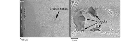 Sem Micrographs Of Subsurface Cracks Initiation At Approximately 400 Lm