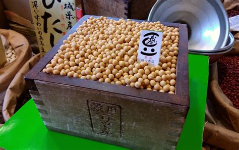 極小すず丸大豆 北海道産 1l約730g『塩田商店特選極小大豆』 通販・販売 築地お取り寄せ市場