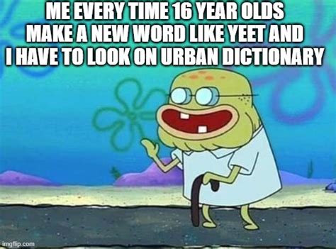 Picturepunches Meme I Have To Look On Urban Dictionary