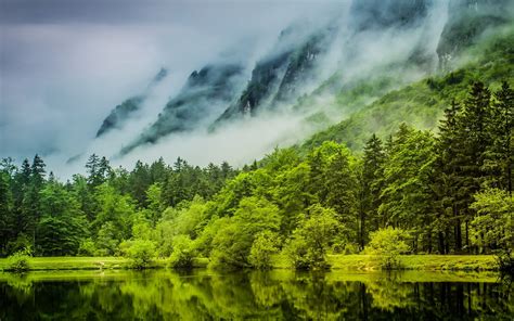 Online Crop Green Leafed Trees Nature Landscape Green Lake Hd
