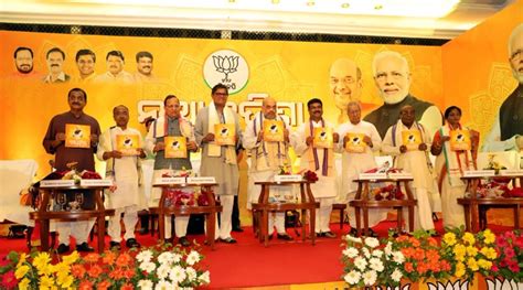 Lok Sabha Election Bjp Manifesto In Odisha Promises New Sops For Women