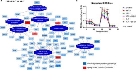 Bioinformatic Functional Network Analysis Of Thp 1 Macrophages Treated