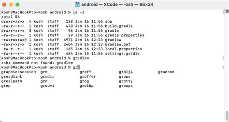 Macos Can Not Execute A File From Terminal Located In The Same
