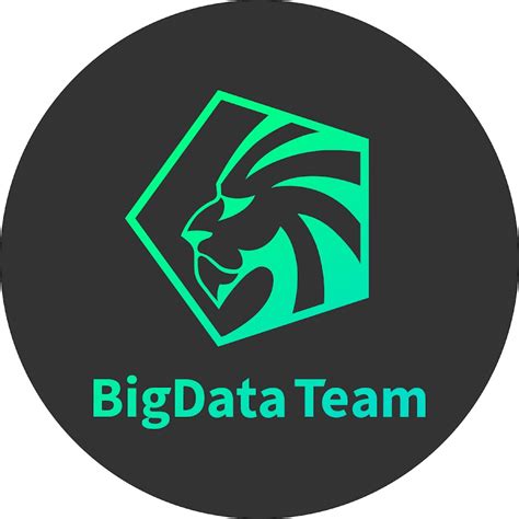 Bigdata Team Youtube