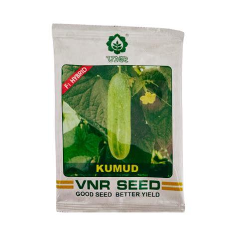 Vnr Kumud F1 Hybrid Cucumber Vegetable Seeds Buy Online