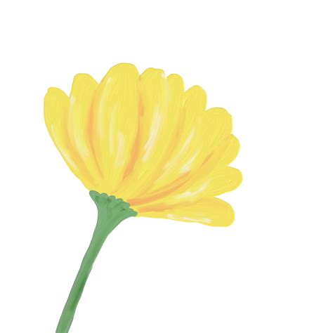 まだ開ききっていない黄色い花のイラスト Illustbook
