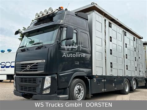 Ciężarówka do przewozu bydła Volvo FH 500 Globetrotter 3 Stock Menke