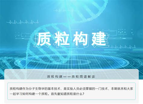 质粒构建——质粒图谱解读 苏州捷美电子有限公司