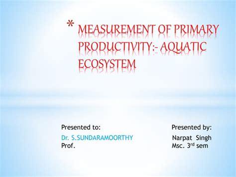Productivity In Ecosystem Pdf