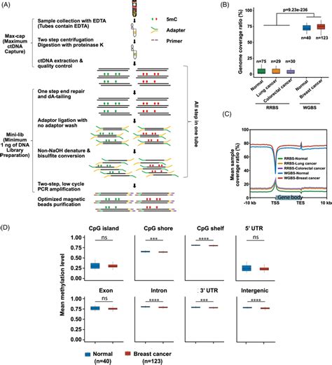 Workflow Chart For Data Generation And Analysis Via Sequencing Of Download Scientific Diagram
